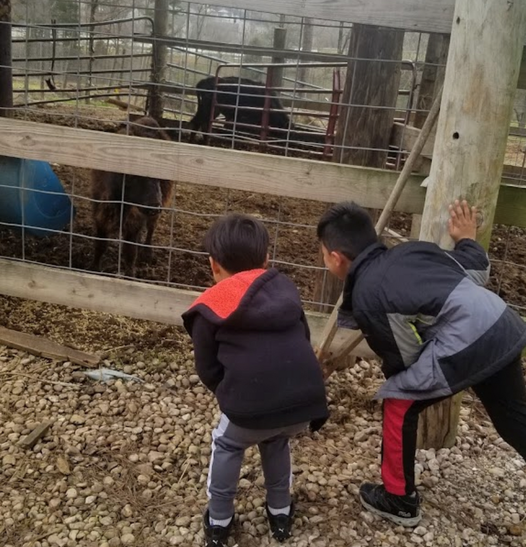 Big H Farm